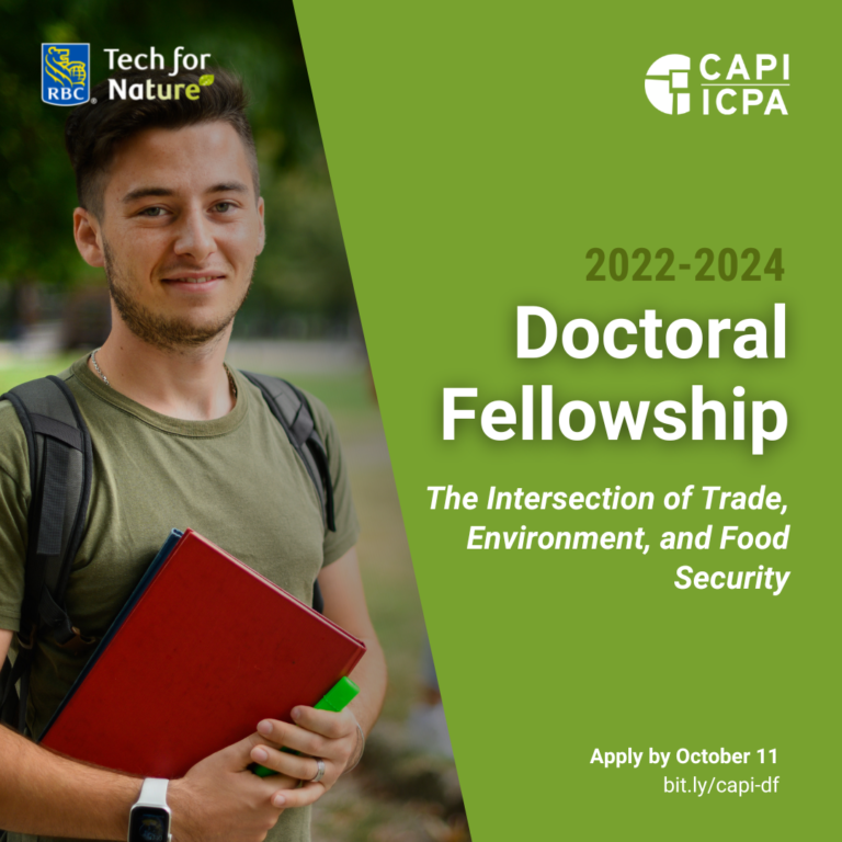 2022-2024 CAPI Doctoral Fellowship Program: Call for Proposals ...