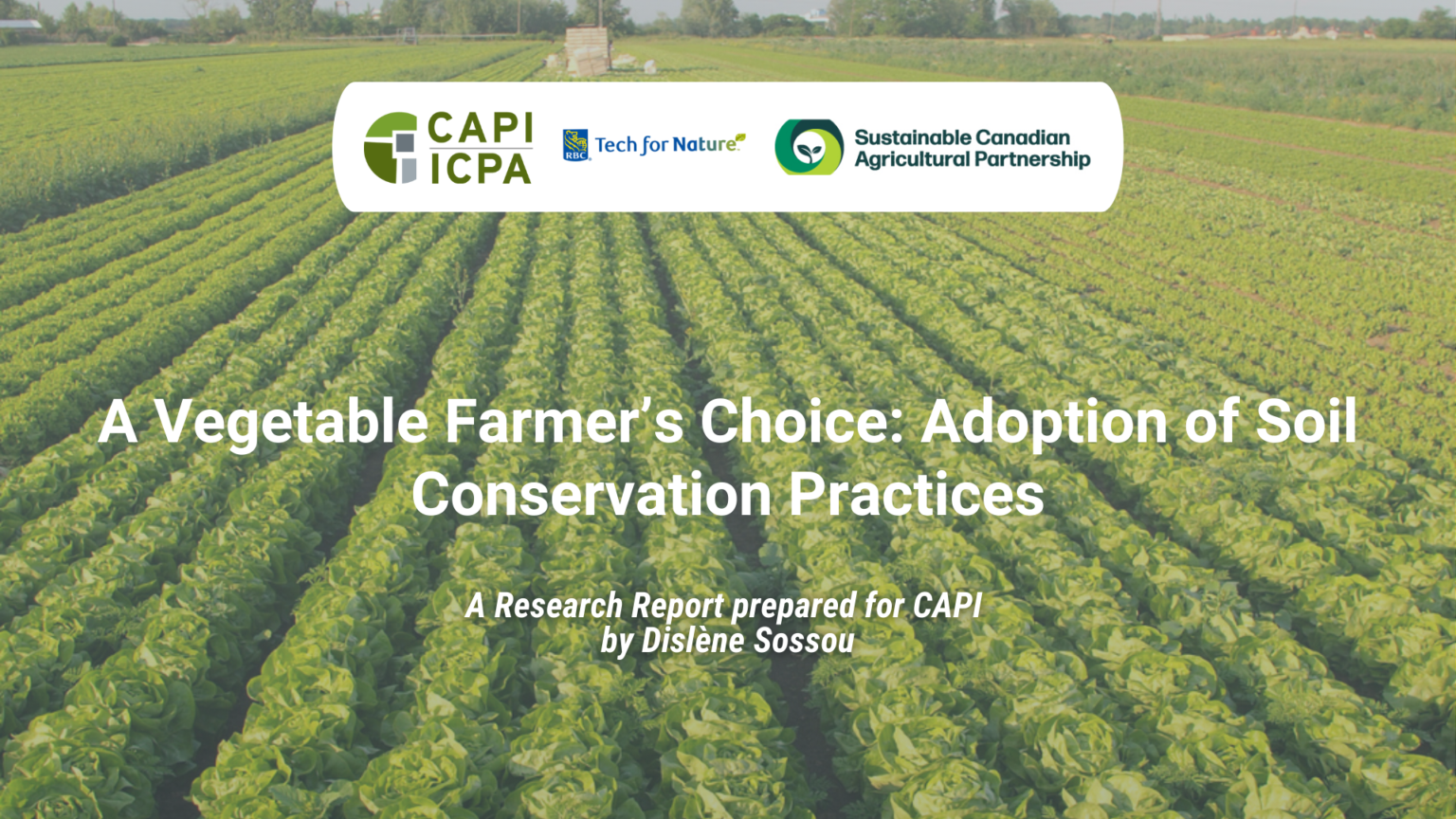 A Vegetable Farmer's Choice: Adoption of Soil Conservation Practices ...