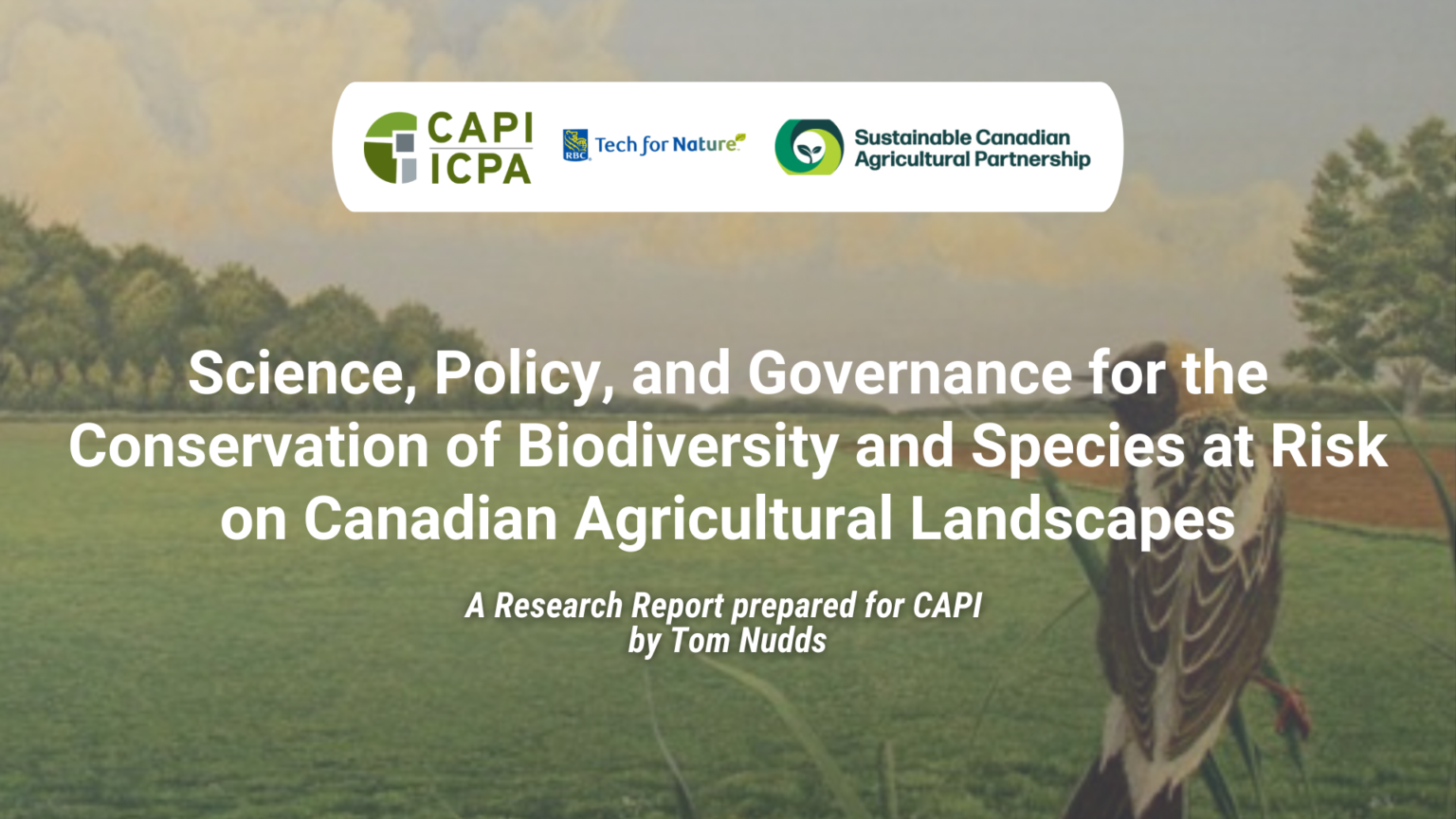 Science, Policy, and Governance for the Conservation of Biodiversity ...