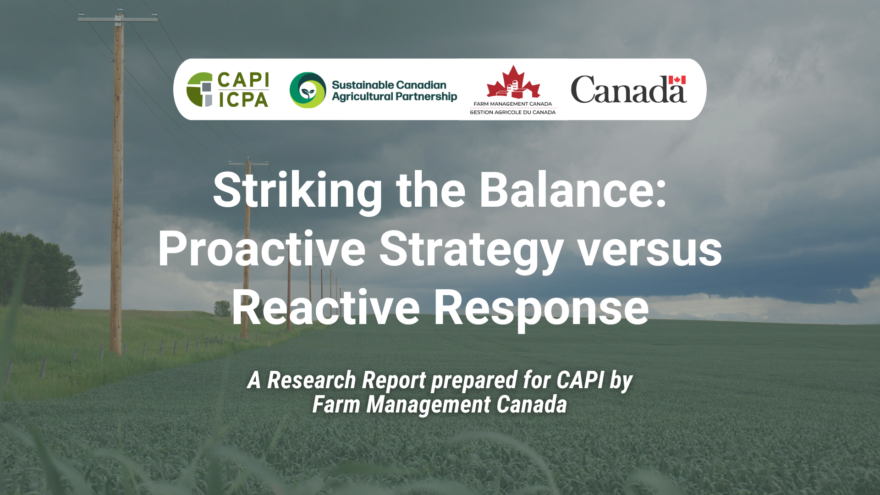 Striking the Balance: Proactive Strategy versus Reactive Response ...